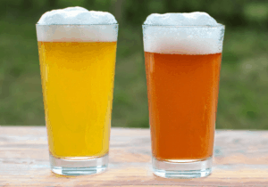 Pale Ale vs IPA Compared: Which is Better? - Beertannica