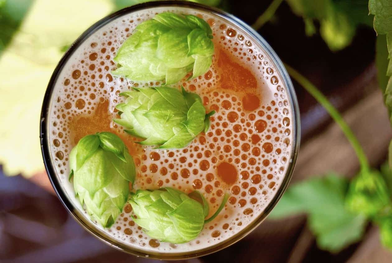 Amarillo Hops Guide: Everything You Need to Know - Beertannica