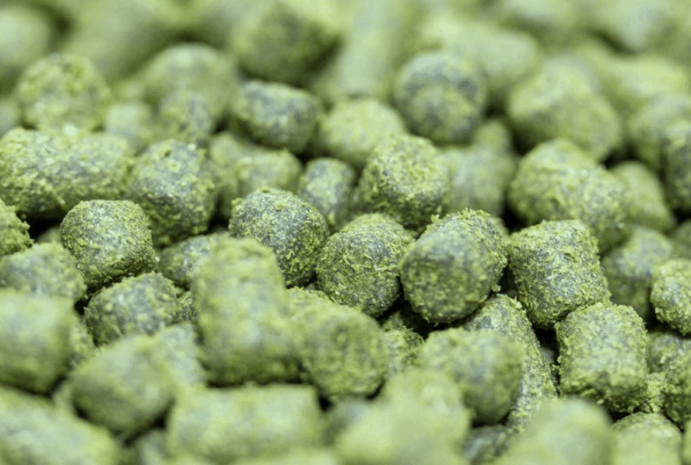 Cryo Hops Guide: What You Need to Know About The Hottest Hop Out There ...