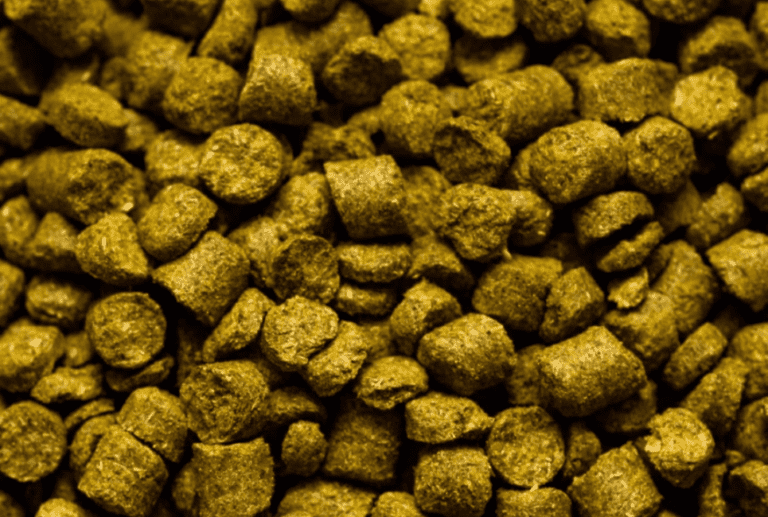 Vic Secret Hops Guide: Everything You Need to Know - Beertannica