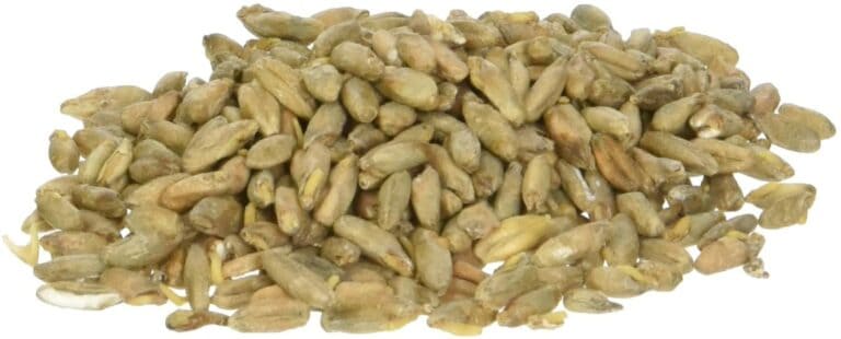 Types of Brewing Malts Guide: Everything You Need to Know - Beertannica