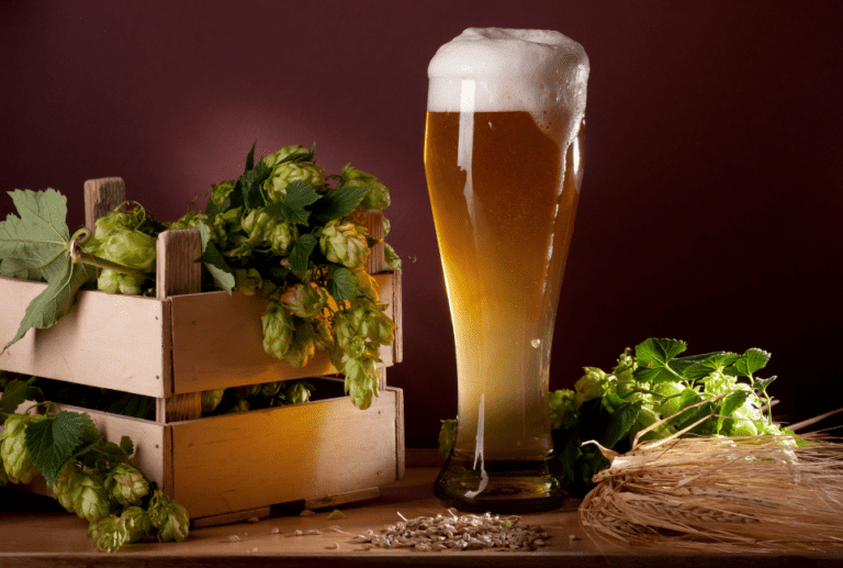 Perle Hops Guide: What It Brings to the Table - Beertannica