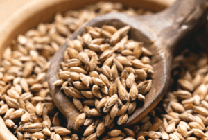 Biscuit Malt Guide - Beertannica