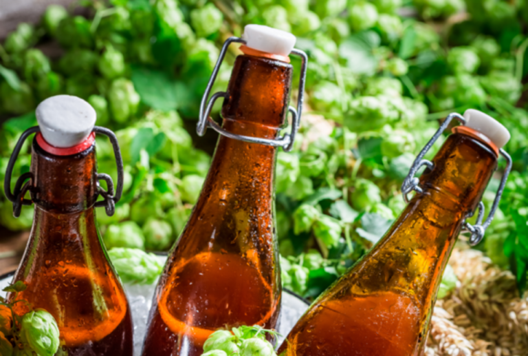 What Is Hop Water: As Simple as it Sounds - Beertannica
